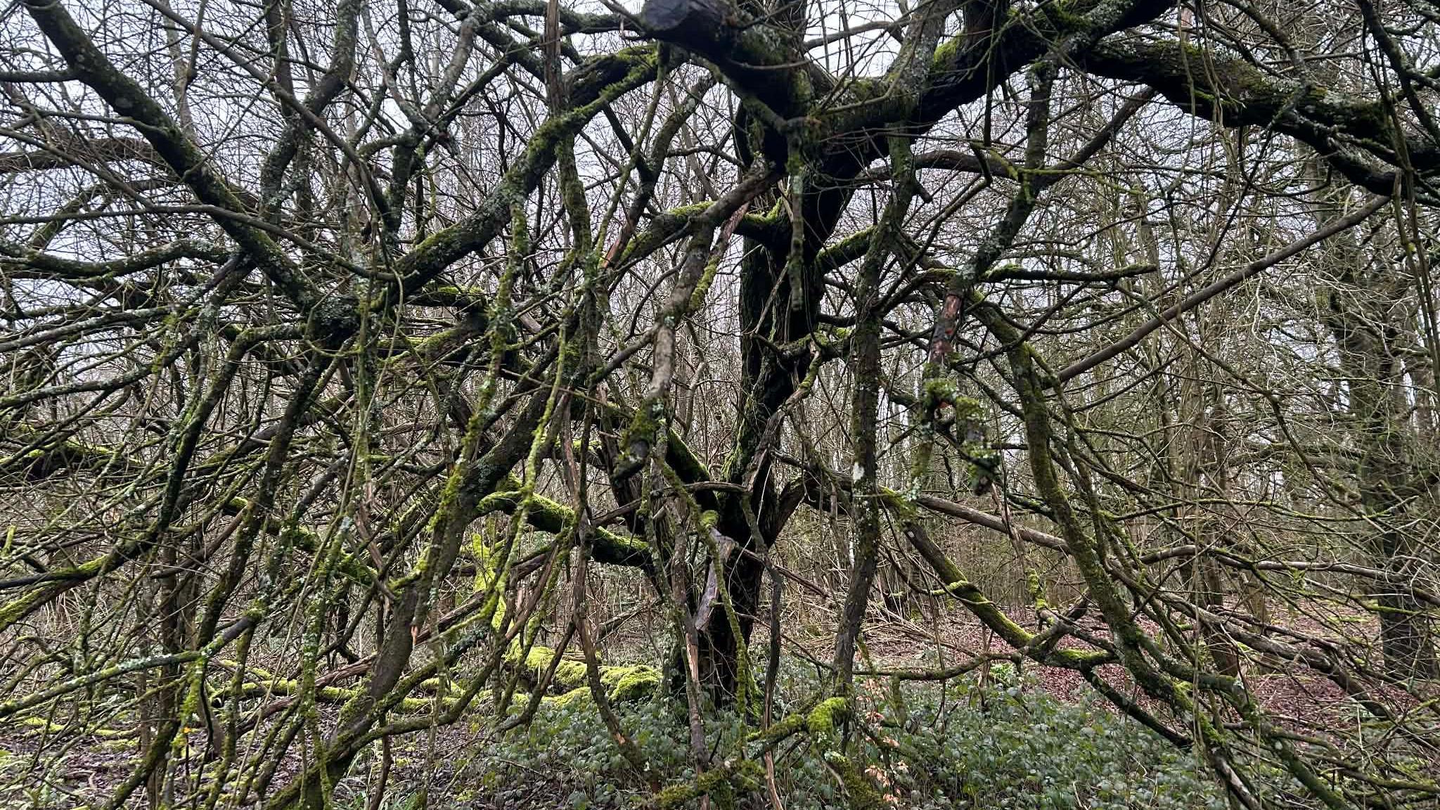 'Banshee' screams and chilling handprints in one of UK's 'most haunted ...
