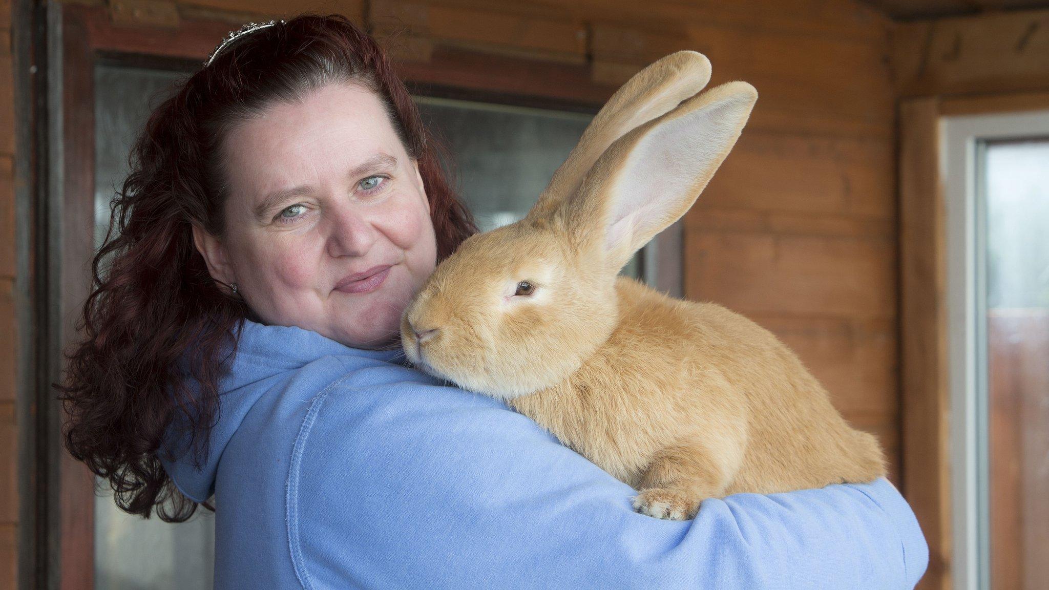 Atlas the giant rabbit gets a new home - BBC Newsround