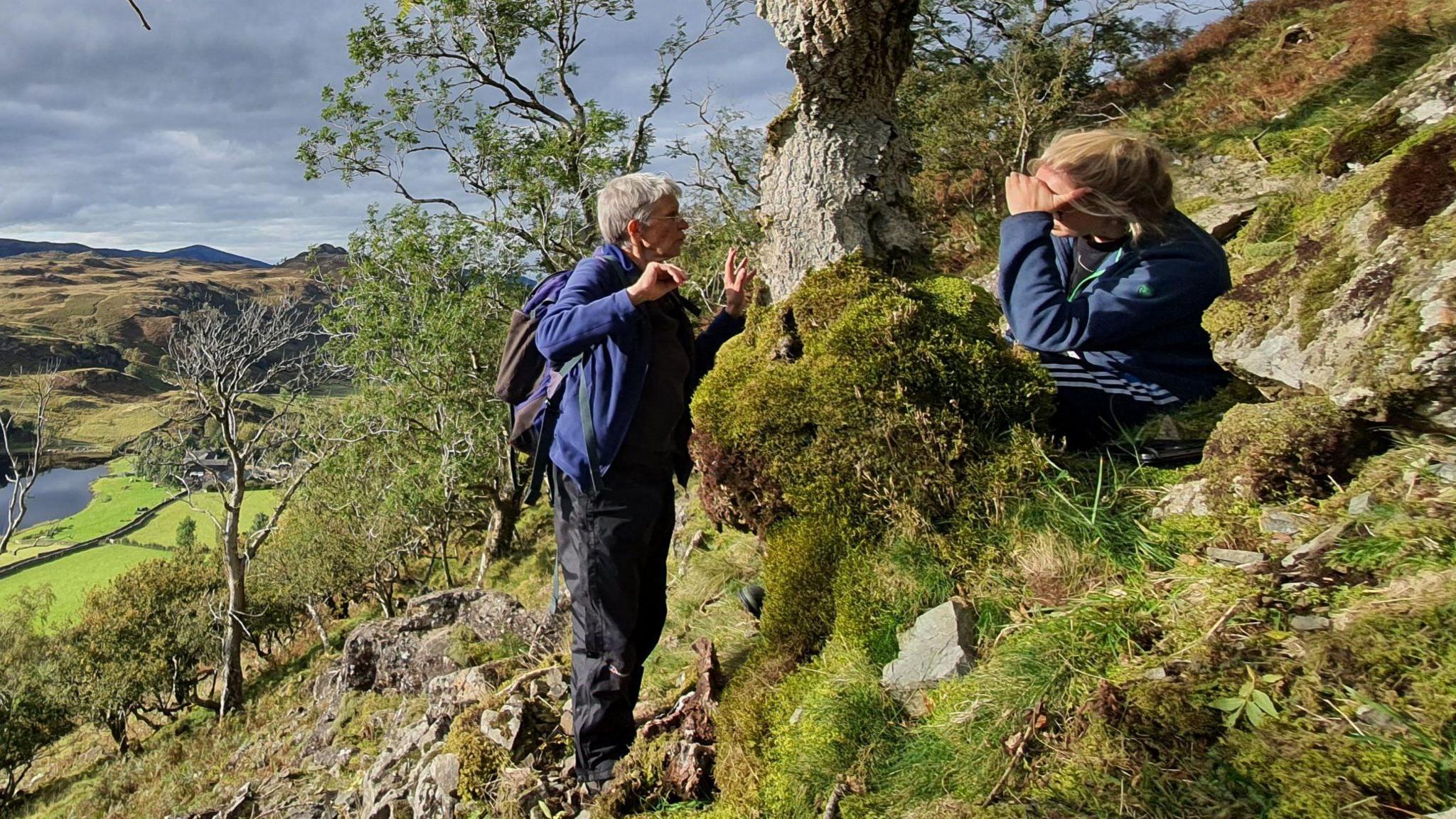 How lichen hold the secret to a breath of fresh air - BBC News