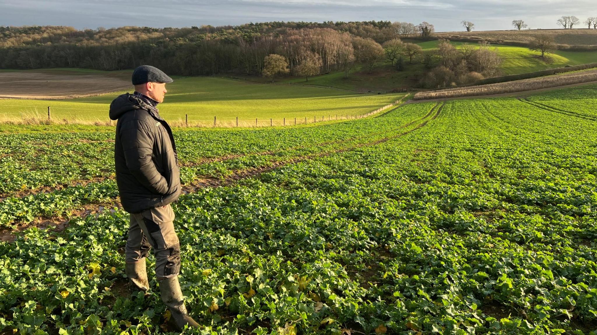 Planting crops in 2026 may be pointless, Southwell farmer says - BBC News
