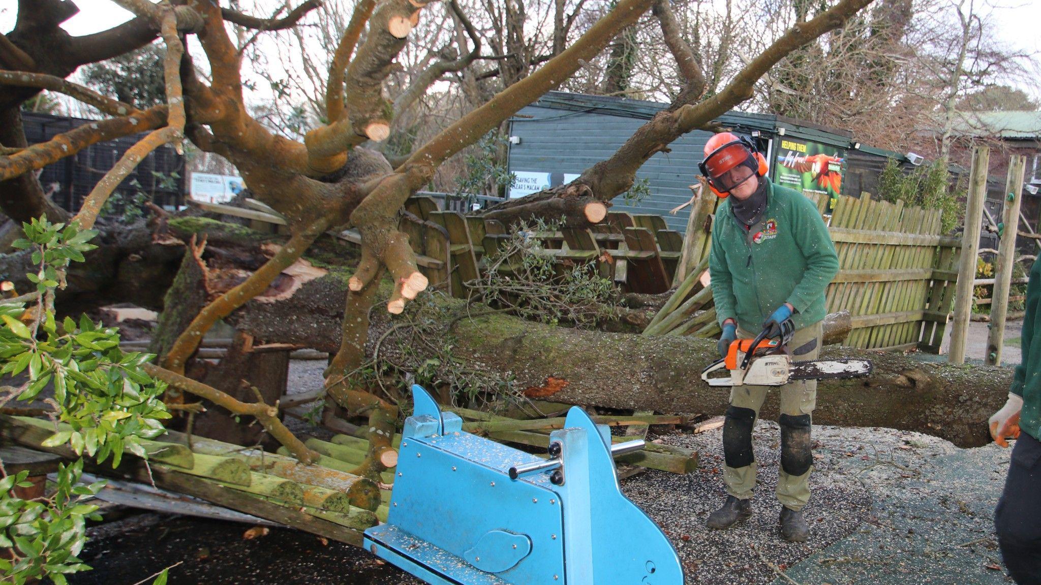 Cornwall rallies together for Storm Goretti clean up - BBC News