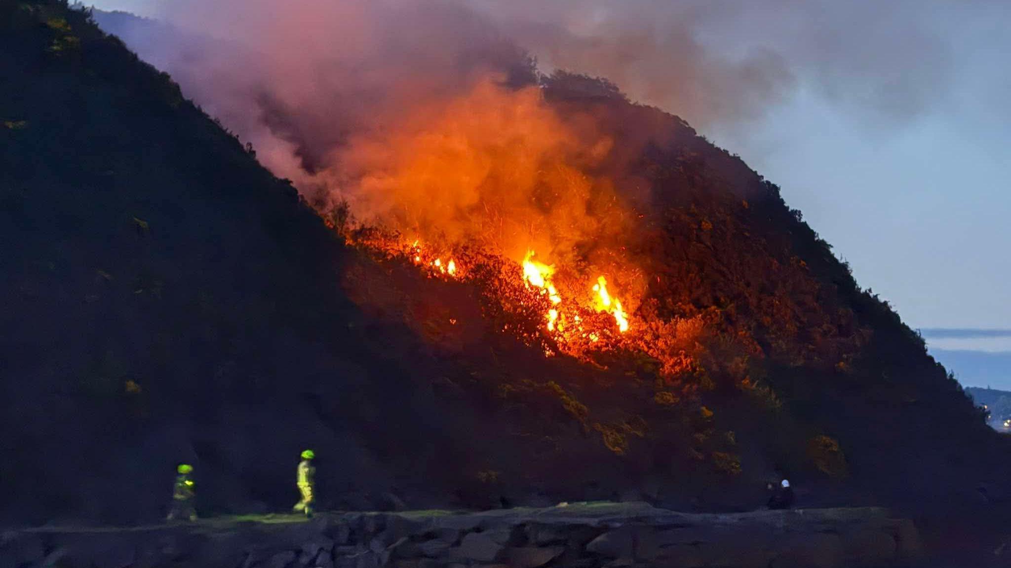 Crews tackle wildfire near Forth Rail Bridge overnight - BBC News