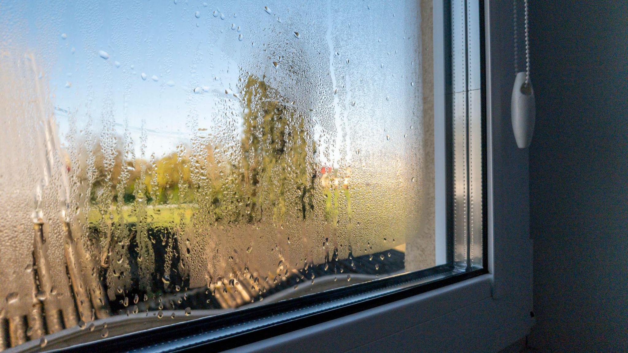 Why is there condensation on the outside of my windows? - BBC Weather