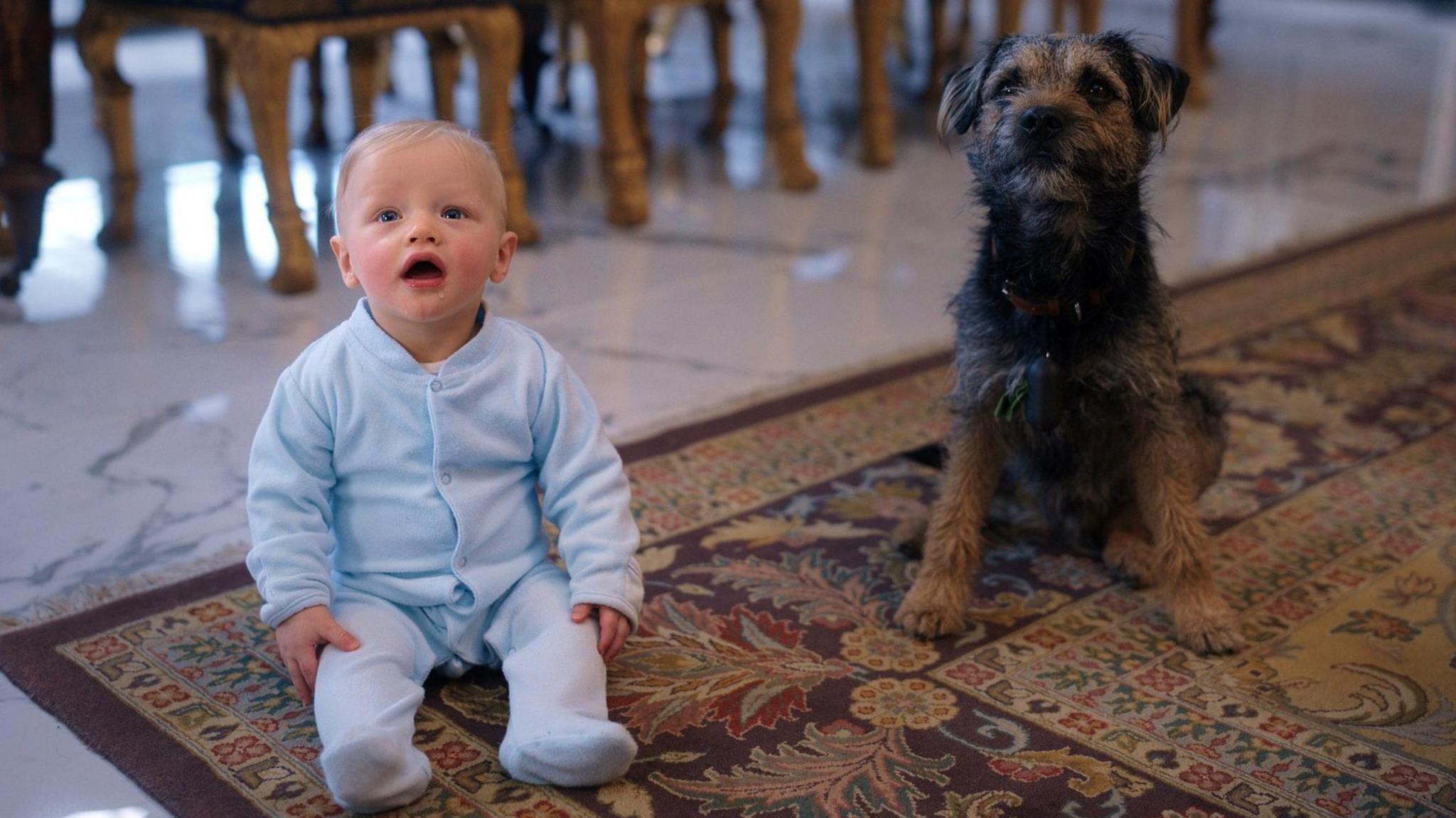 Netflix's Man vs Baby: Dog was 'scene-stealer' says Rowan Atkinson ...