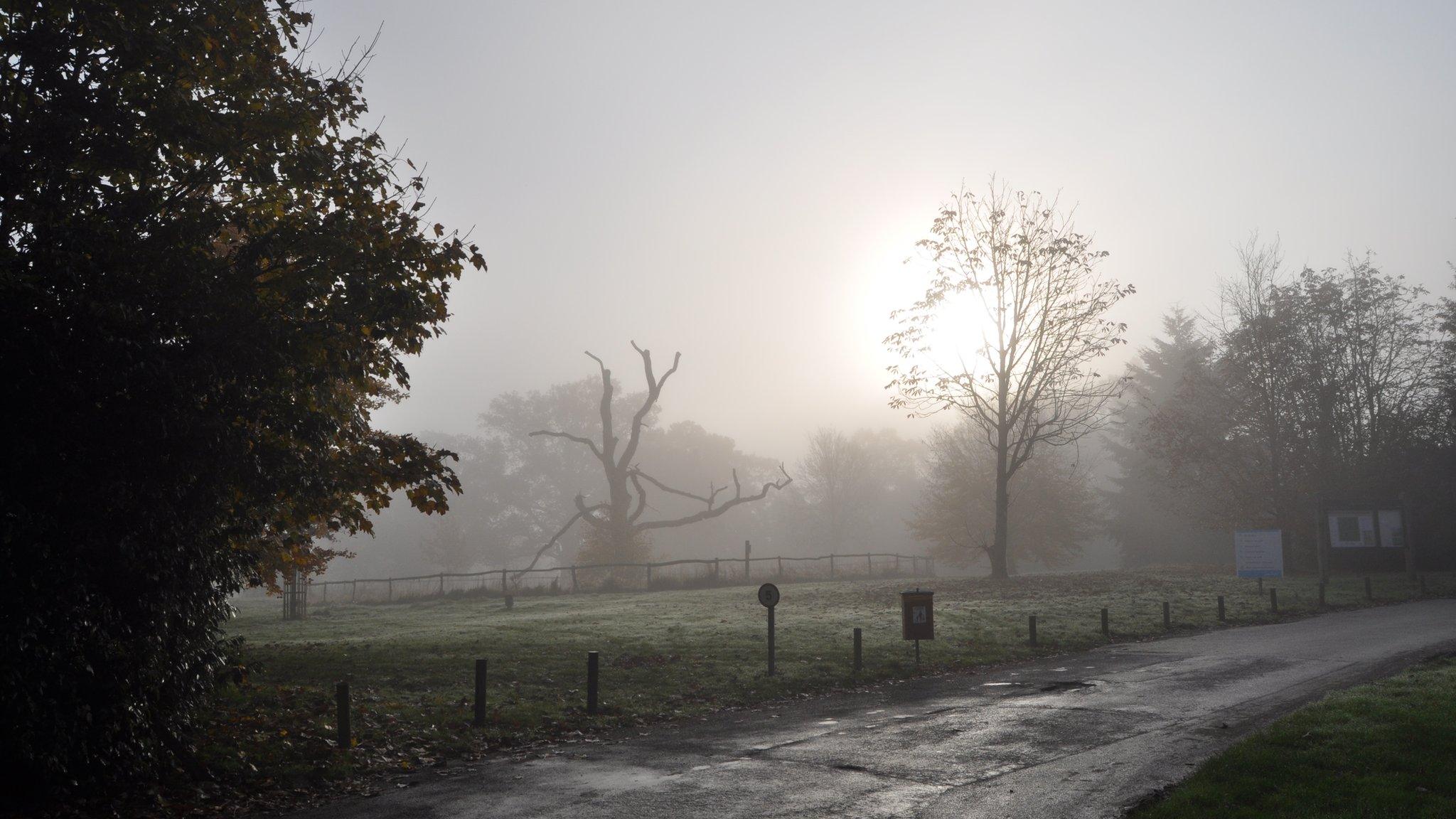 Christopher Thompson Chantry Park murder: Two guilty - BBC News