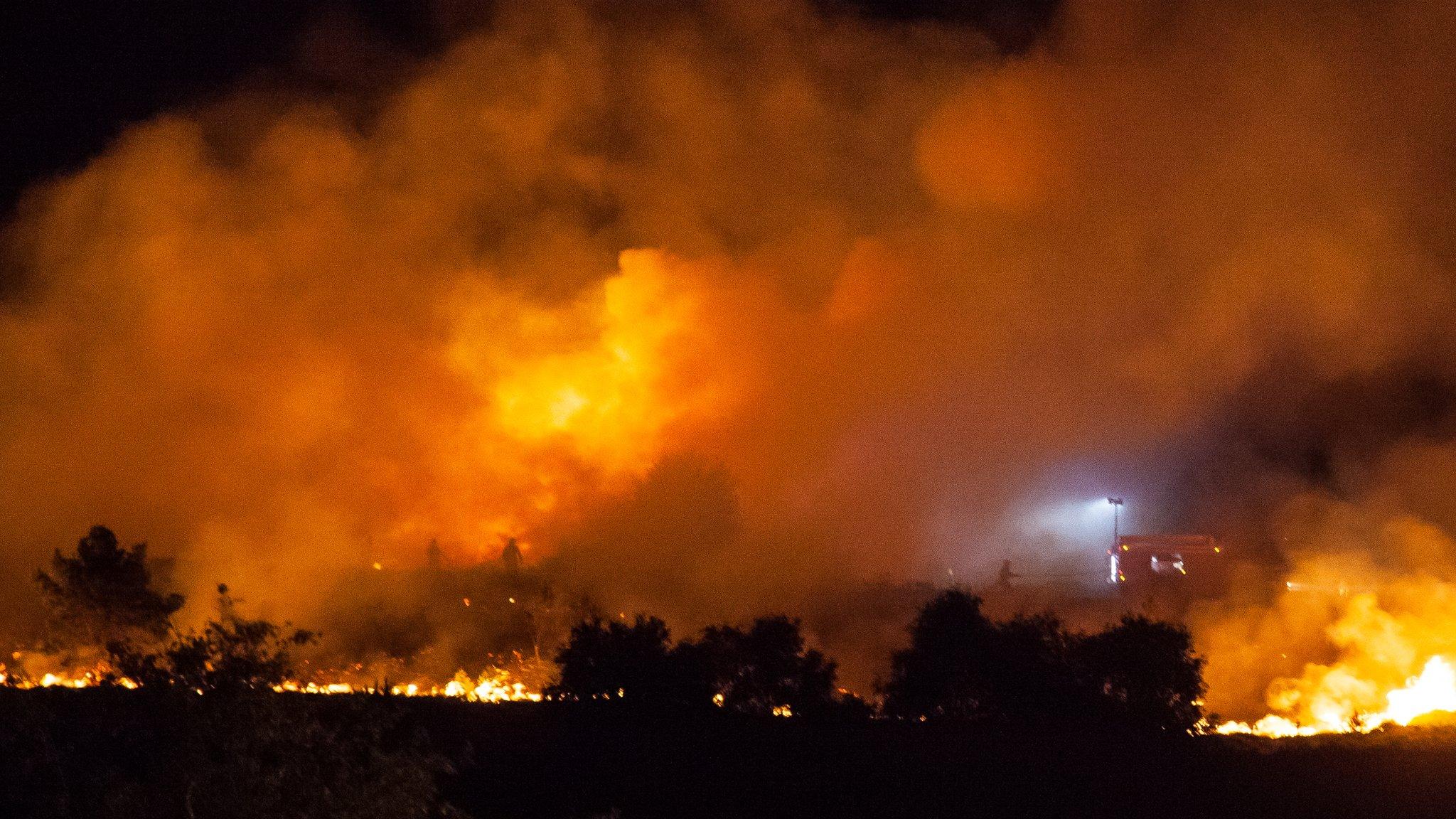 Moors Valley Country Park heath fire 'deliberate' - BBC News
