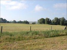 Work starts on prehistoric Marden Henge in Wiltshire - BBC News