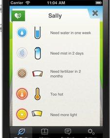 Plants 'talk' to owners via app and wi-fi sensors - BBC News