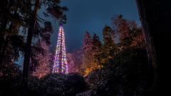 Decorating the world's tallest Christmas tree at National Trust ...