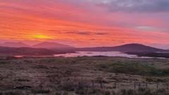 Your pictures of Scotland 19 - 26 March - BBC News