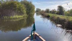 Wicken Fen dragonflies thriving at newest nature 'hotspot' - BBC News