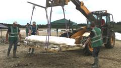Rutland sea dragon: How remarkable ichthyosaur fossil was protected ...