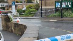 Alfie Lewis was 'one in a million', say family after boy stabbed in ...