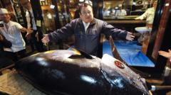 Motorbike-sized tuna sold to Tokyo sushi restaurateurs for $1.3m - BBC News