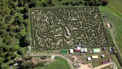 Taking his own path: The world's leading maze designer - BBC News