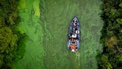 Executive ministers approve Lough Neagh action plan - BBC News