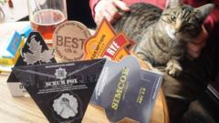 The pub full of cats bringing feline fans to Bristol - BBC News