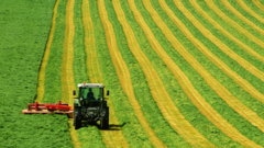 Suffolk vegetable business says 'stop growing boring' seeds - BBC News