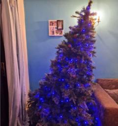 How a wonky Christmas tree put March on the map - BBC News