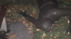 How years of 'gimp man' sightings terrified Somerset villages - BBC News