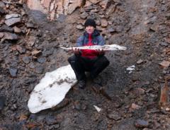 Scotland 'snow-free' as Sphinx patch melts again - BBC News