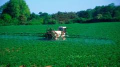 Rewilding: How changes to farming can help wildlife and the environment ...