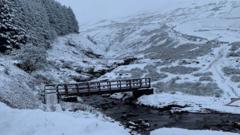 Snow in Wales: Wintry weather pictures - BBC News