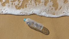 Scientists develop 'environmentally friendly' plastic that dissolves in ...
