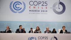 UK climate plan: What do the terms mean? - BBC News