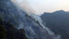 India fires: Rainfall douses deadly blazes in Uttarakhand - BBC News