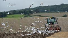 Climate change: Advisers warn of climate change domino effect - BBC News