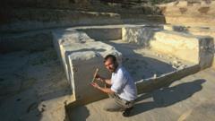 Fossils: What England's discoveries have told us about our past - BBC News
