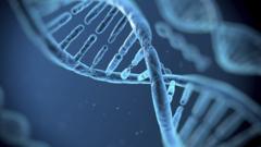Ancient DNA sheds light on Irish origins - BBC News