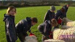 Inside the Devon farm that inspired War Horse - BBC News
