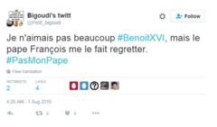 'Not my Pope' hashtag highlights French divisions - BBC News