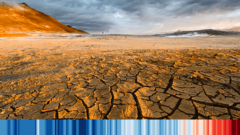 Shell wins landmark climate case against green groups in Dutch appeal ...