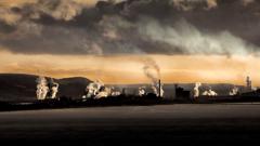 Cold water swimming: From the desert to Welsh mountains - BBC News