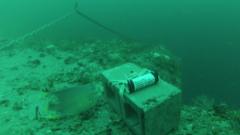 What do we know about the ocean's mysterious blue holes? - BBC Newsround