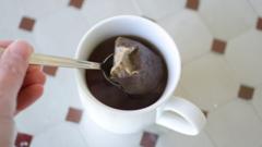 Teabags: Is there plastic in yours? - BBC News