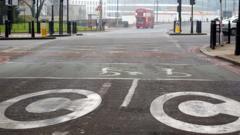 How London's environmental policies have shaped the capital - BBC News
