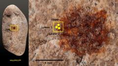 Ancient human fingerprint suggests Neanderthals made art - BBC News