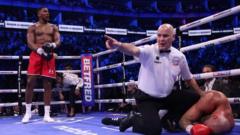 Anthony Joshua v Robert Helenius: Briton wins with one-punch knockout ...