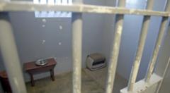 Nelson Mandela: 30 year anniversary of prison release - BBC Newsround