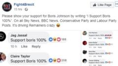 The real people pretending to be 'Boris bots' on Facebook - BBC News