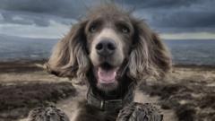 Your Pictures in Wales: March 28-April 3 - BBC News