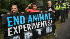 Animal testing: What is it and why are people talking about it? - BBC ...