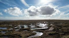 How could Devon's peatlands fall victim to climate change? - BBC News