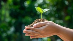 Earth Day 2025: What's it all about? - BBC Newsround
