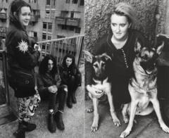 Capturing Hulme's 'inspiration and get up and go energy' - BBC News