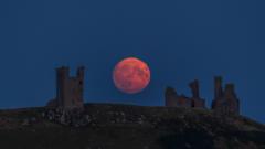 Full blue supermoon turns red and how you can see it next time - BBC ...